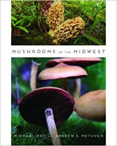 A Comprehensive List of Common Wild Mushrooms in Michigan