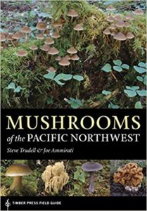 A Comprehensive List of Common Wild Mushrooms in Oregon