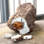 WolfiPoria Extensa: 17 Benefits of the Poria Mushroom