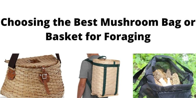 The Best Mushroom Basket / Bag for Foraging, Collecting & Hunting
