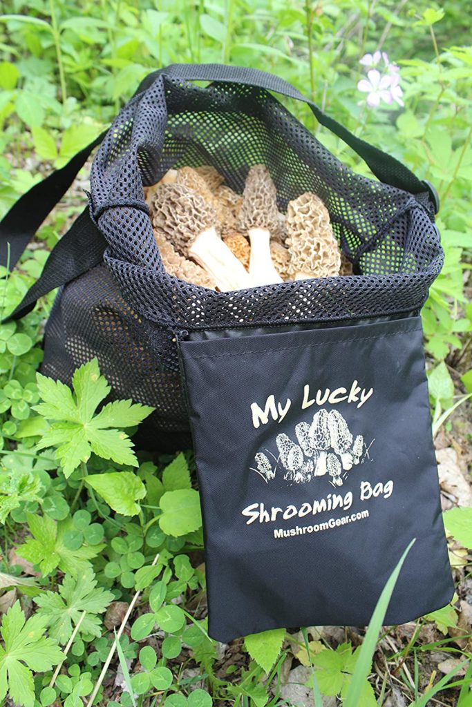 The Best Mushroom Basket / Bag for Foraging, Collecting & Hunting