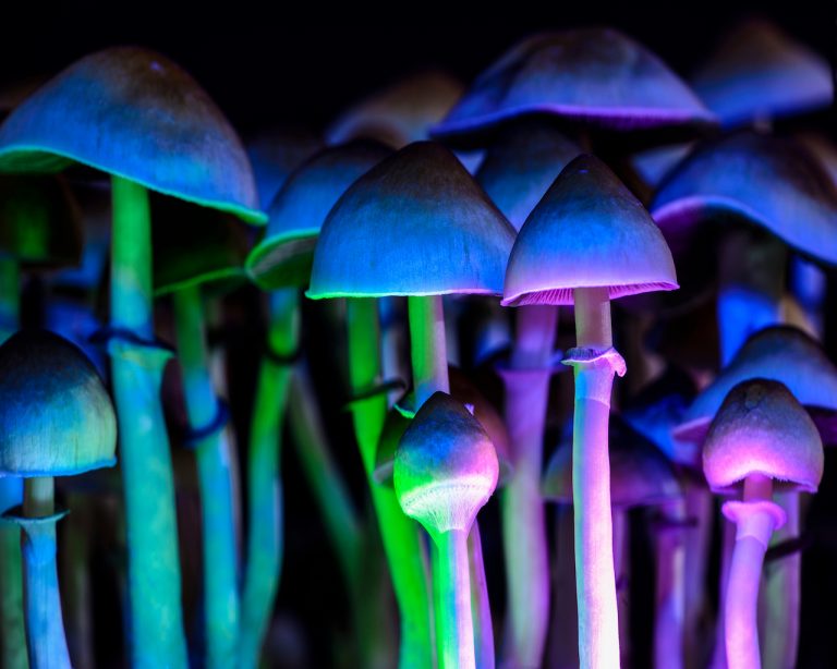 The Ultimate Guide to Psilocybin: Benefits, Effects, Therapy & Treatment