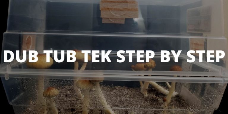 Dub Tub Tek: A Step by Step Guide to the 6 Quart Dub Tub