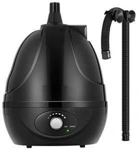 The Best Humidifiers for Growing Mushrooms in 2022