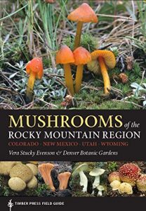A Comprehensive List of Common Wild Mushrooms in Colorado