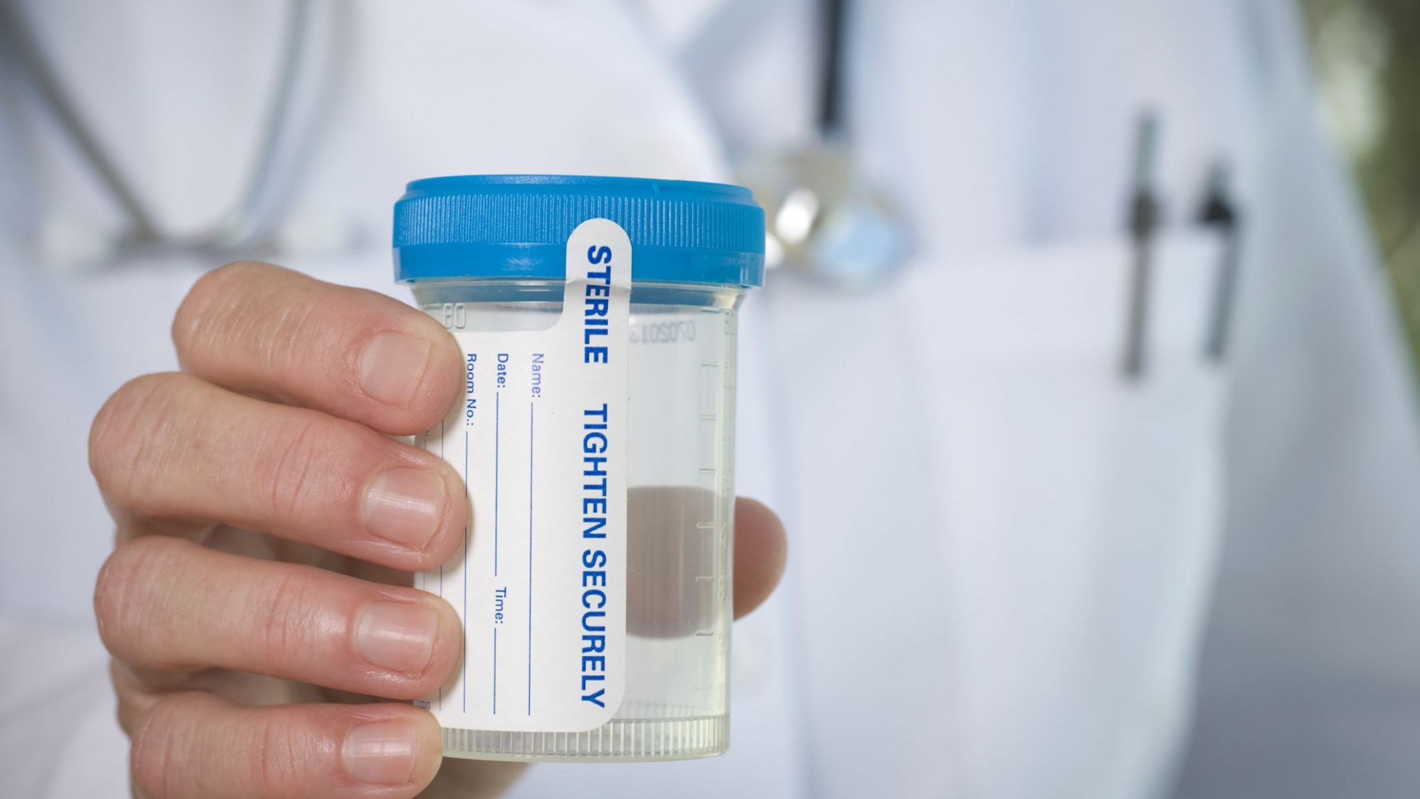 Do Shrooms Show Up On A Drug Test Everything You Need To Know do-shrooms-show-up-on-a-drug-test-everything-you-need-to-know