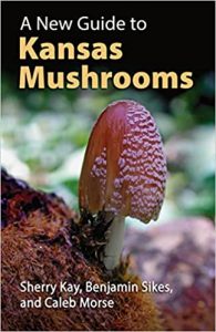 A Comprehensive List of Common Wild Mushrooms in Kansas