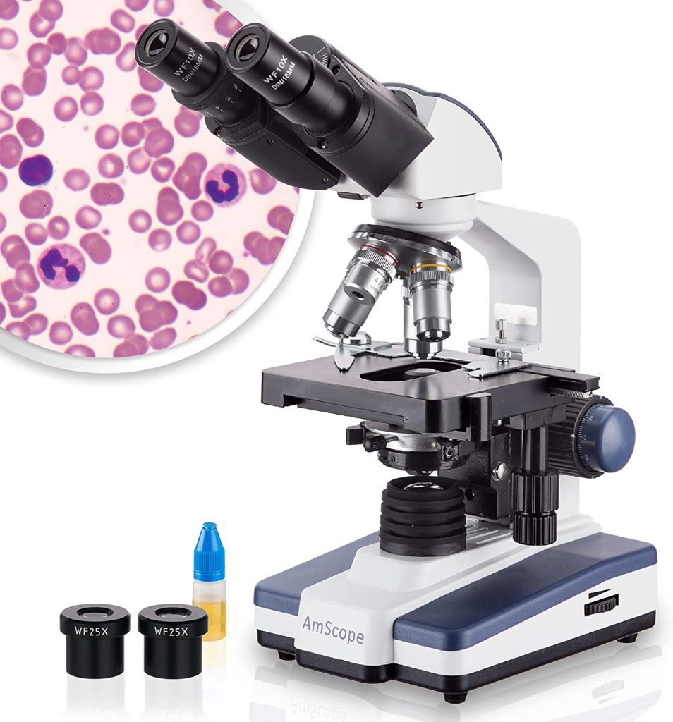 Best Microscopes for Mushrooms & Mycology