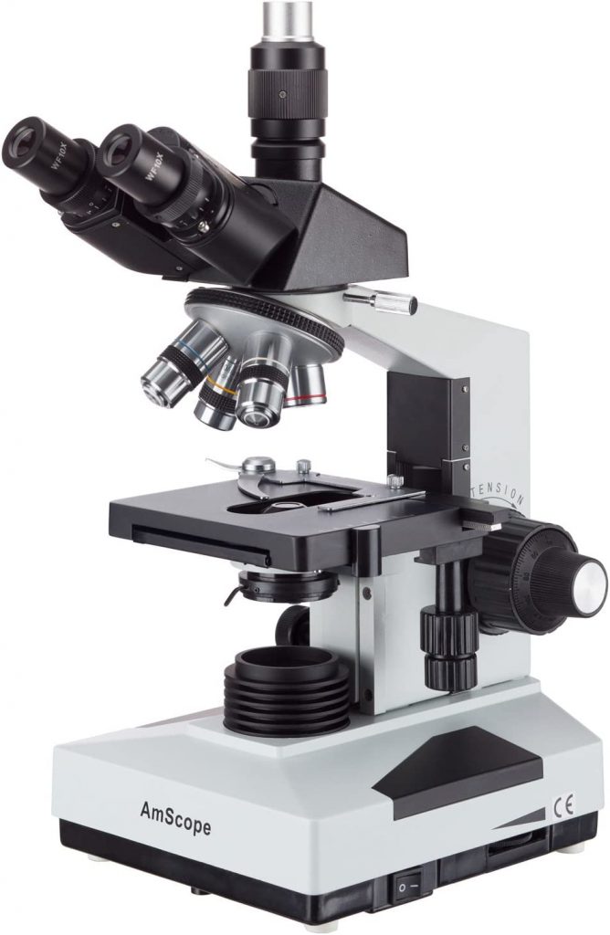 Best Microscopes for Mushrooms & Mycology