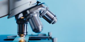 Best Microscopes for Mushrooms & Mycology