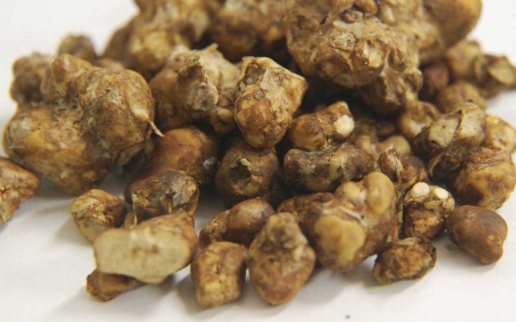 False Truffles: Identification, Look Alikes & Edibility